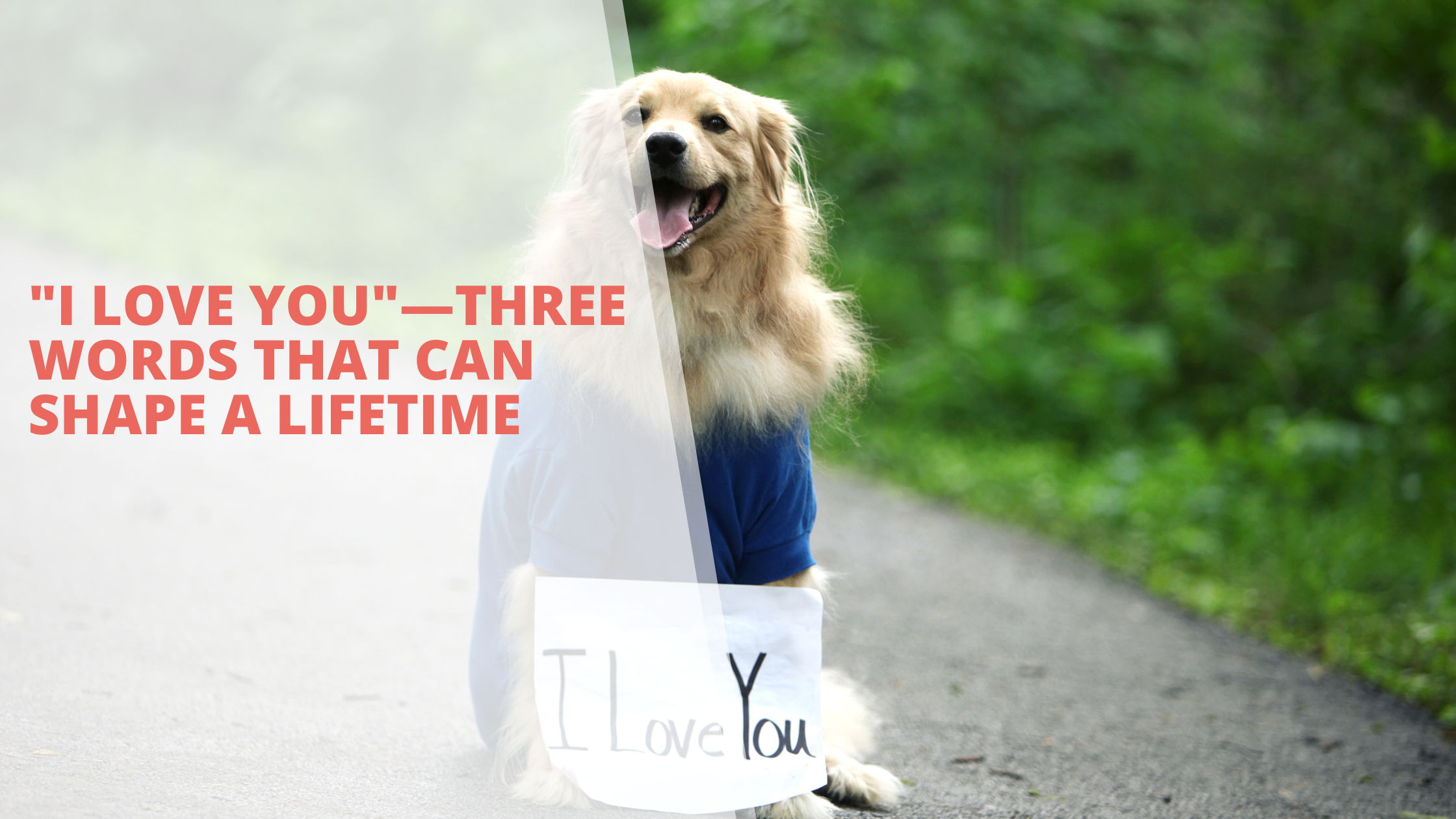 "I Love You"—Three Words That Can Shape a Lifetime - The Table Talk Project